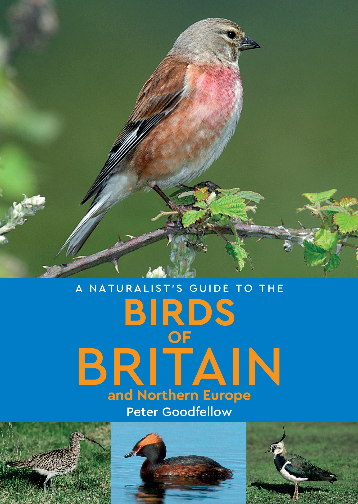 A Naturalist's Guide to the Birds of Britain & Northern Europe