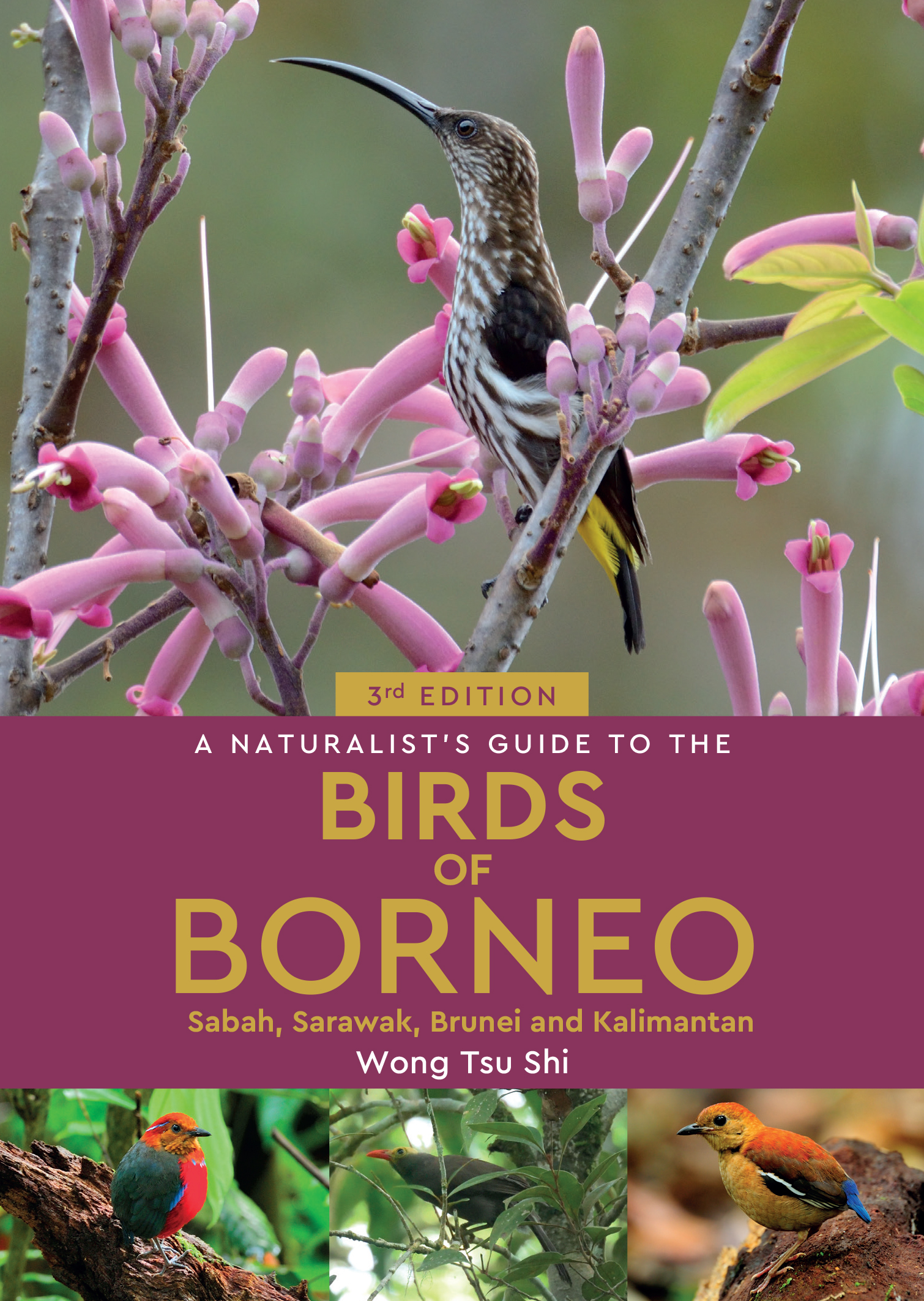 A Naturalist's Guide to the Birds of Borneo (3rd) - JB Publishing