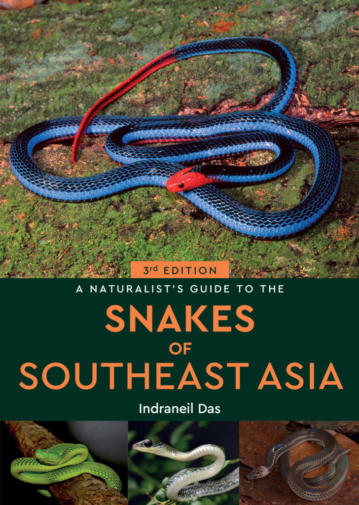 A Naturalist's Guide to the Snakes of Southeast Asia - JB Publishing