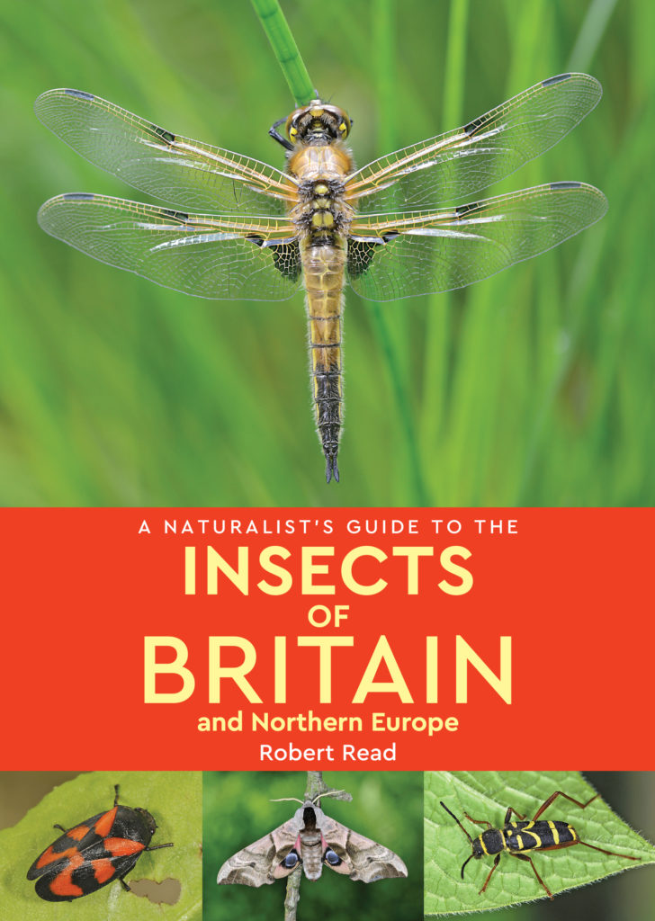 A Naturalist's Guide to the Insects of Britain & Northern Europe