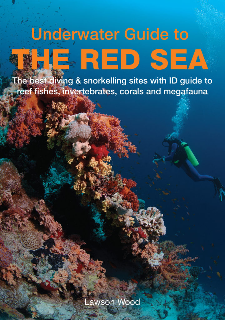 Underwater Guide to the Red Sea - John Beaufoy Publishing