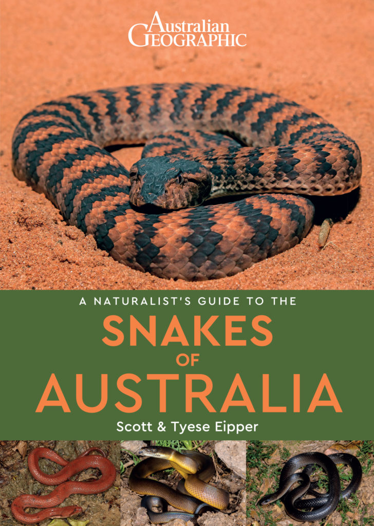 A Naturalist's Guide to the Snakes of Australia - JB Publishing