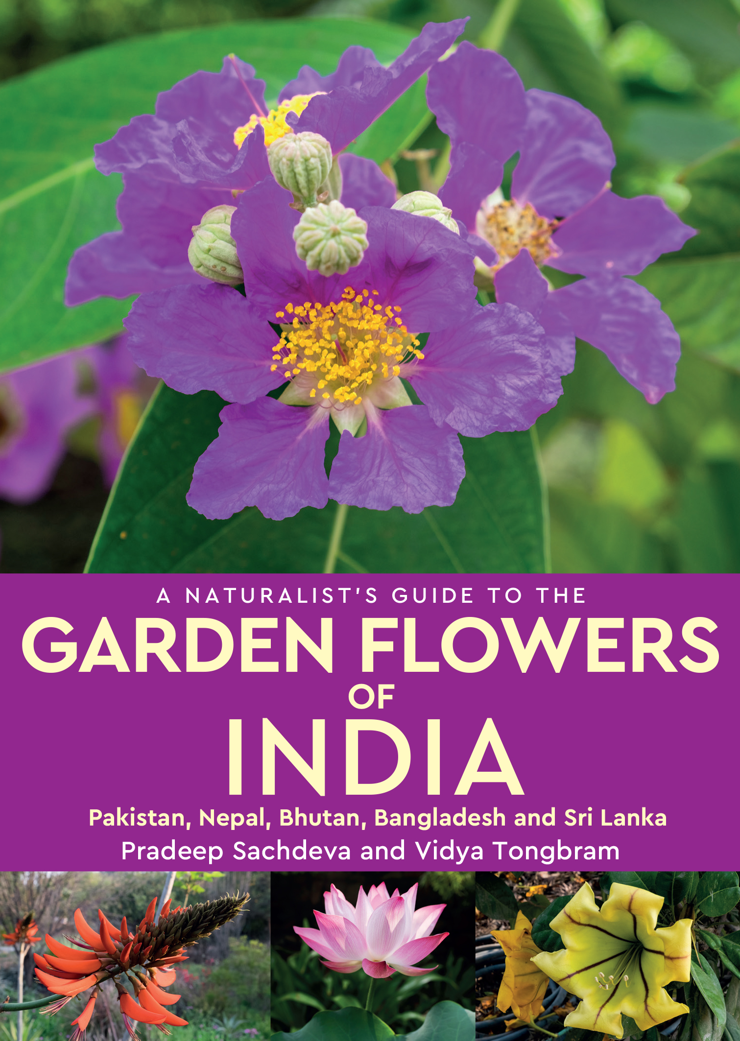 Garden Flower Names India | Fasci Garden