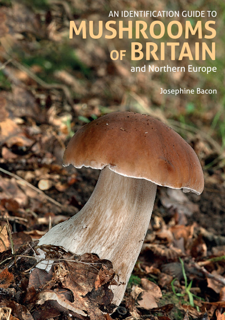 ID Guide to Mushrooms of Britain & Northern Europe