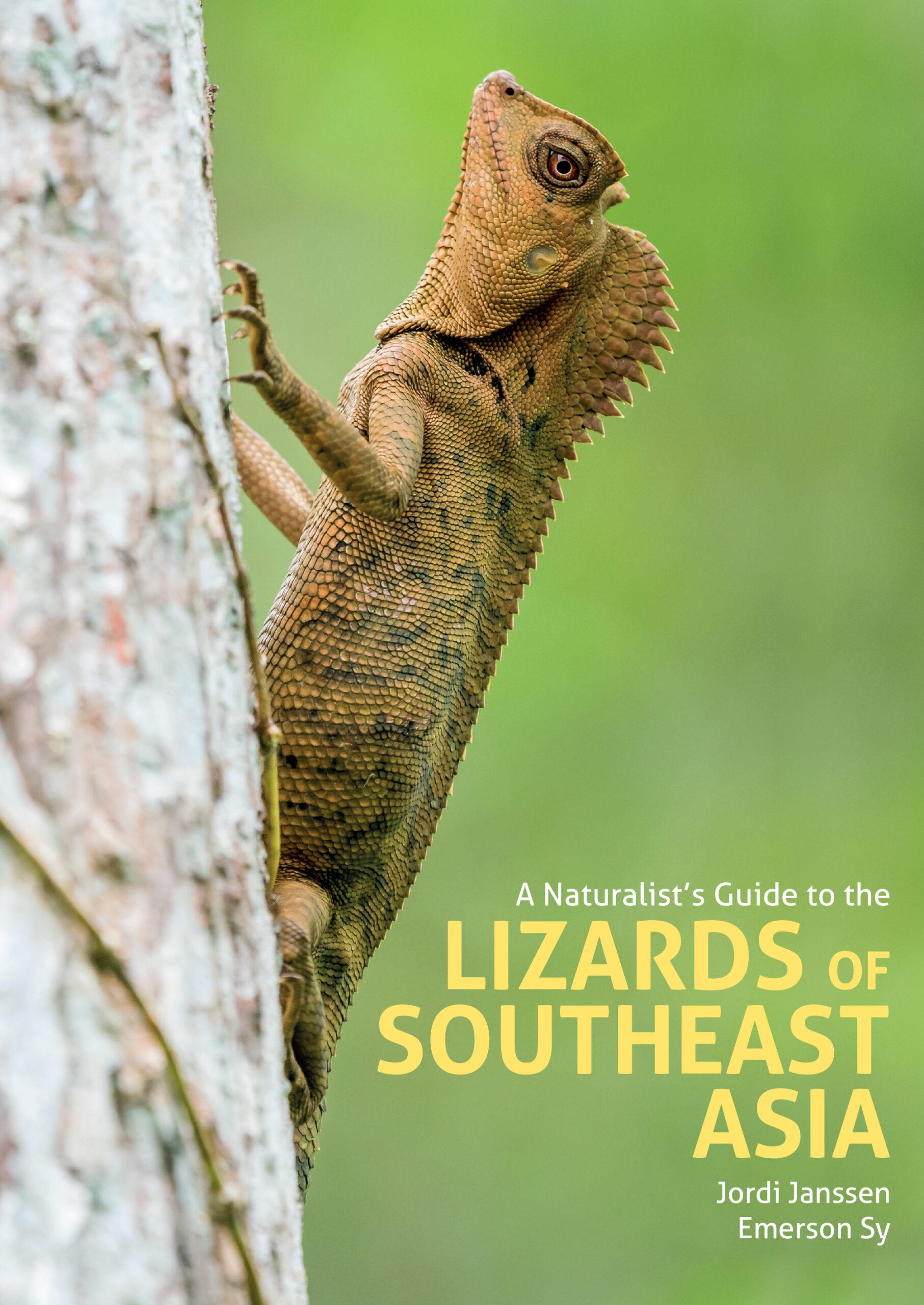 Naturalist's Guide to the Lizards of Southeast Asia - John Beaufoy ...