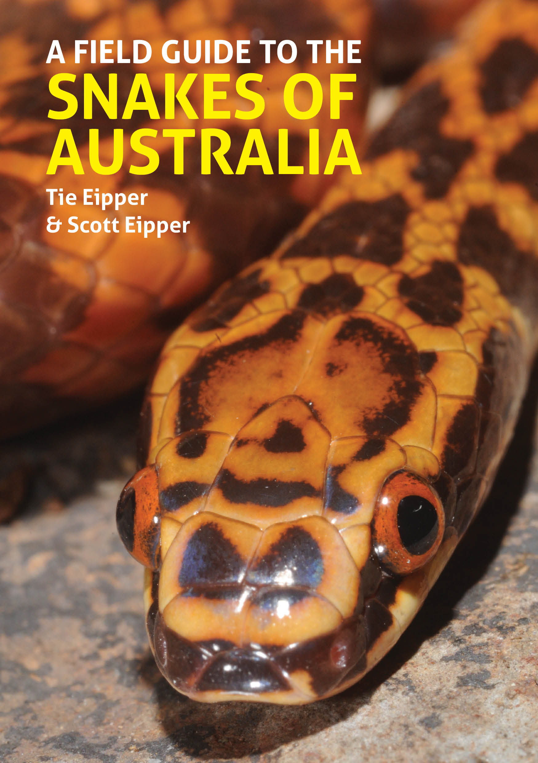 A Field Guide to the Snakes of Australia - John Beaufoy Publishing